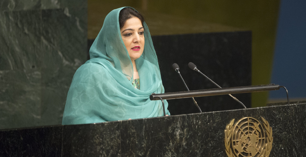 Transformation to Digital Pakistan is our priority, IT Minister