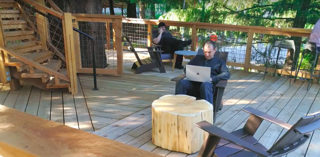 Microsoft builds tree houses for its employees