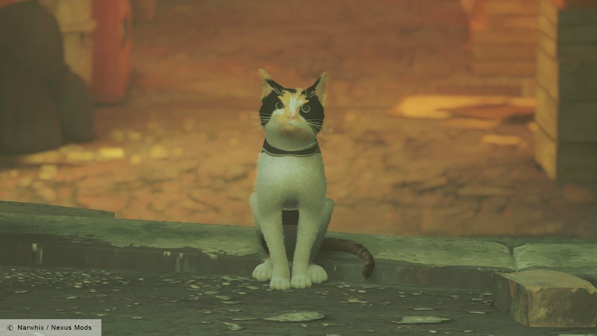 PC Players Can Now Use Their Own Cat in Stray Game