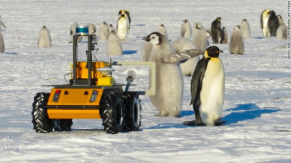 Meet Echo: A Robot That’s Friends with Emperor Penguins