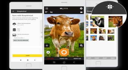 Animal Biometrics: Pakistan's Innovative Solution to Combat Animal Burglary