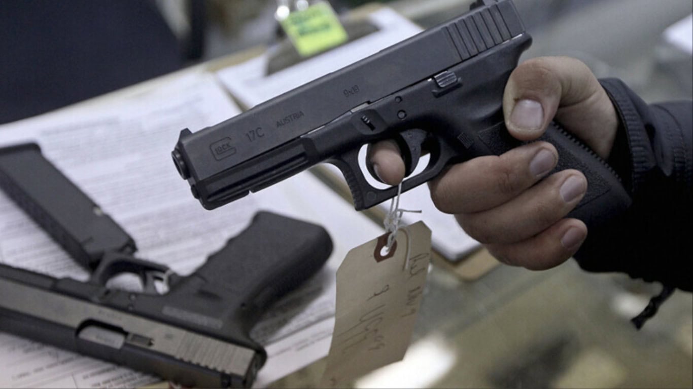 Punjab Govt Issues Warning on Fake Arms License Website