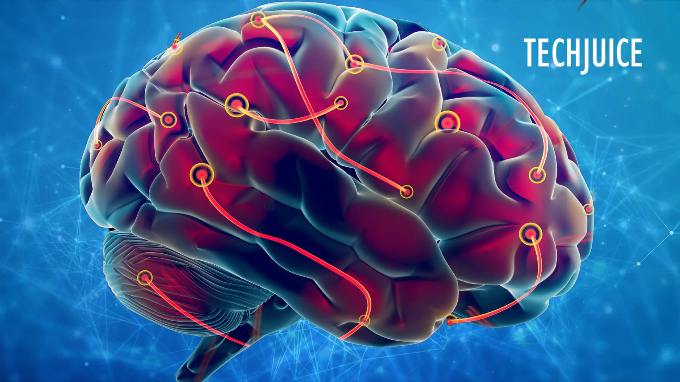 Starfish Neuroscience to Launch Brain Chip by Late 2025