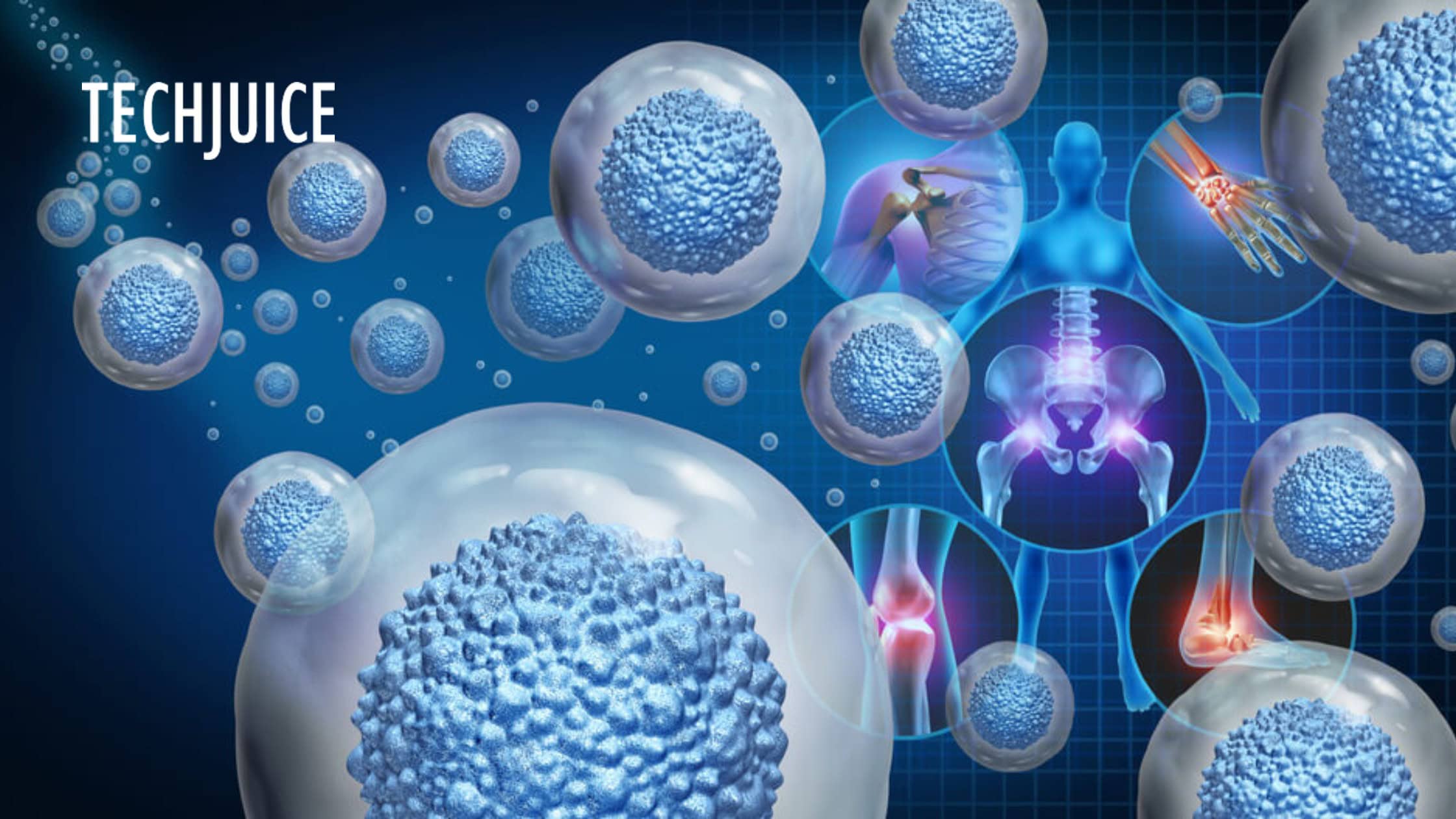 Thanks to Science, Your Body Organs May Self-Repair Soon