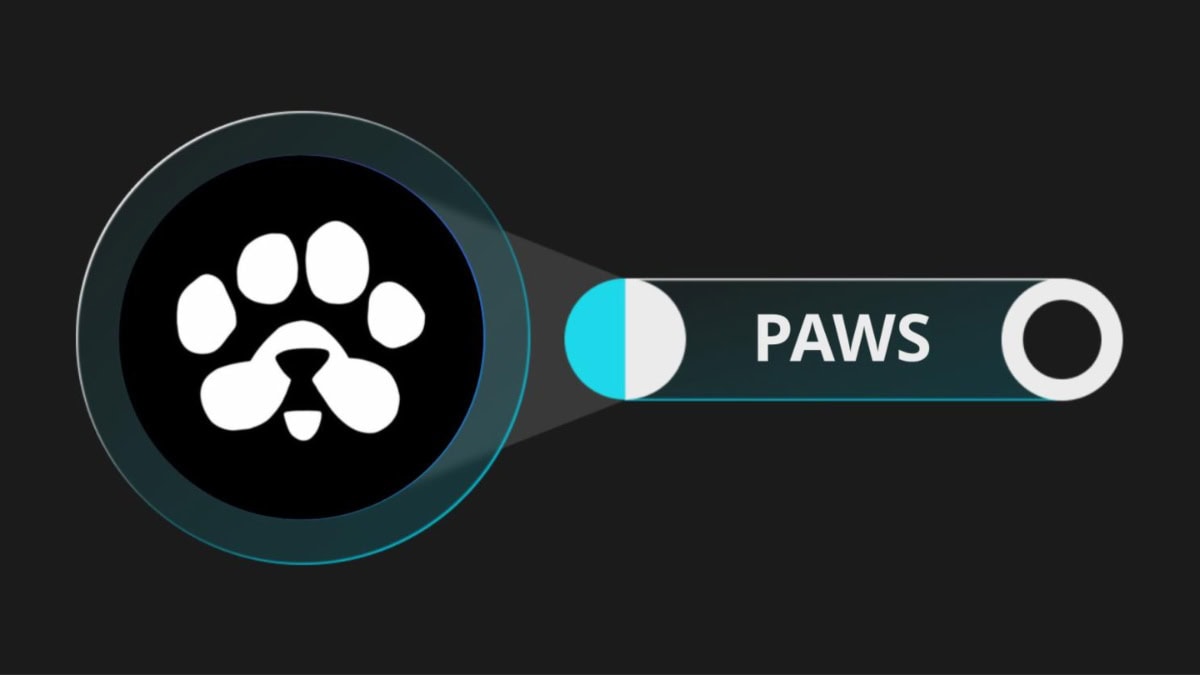 What is Paws and Why is It Taking Over Web3?