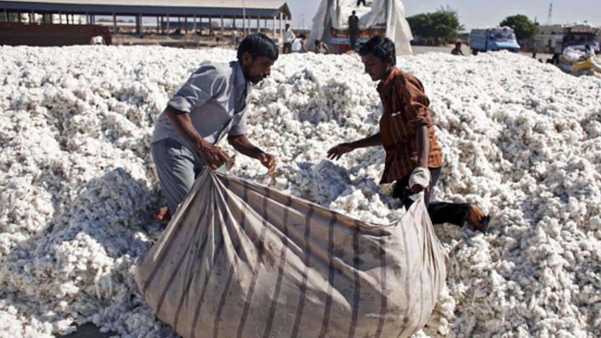 Pakistan Textile Council Raises Concerns Over Export Facilitation ...