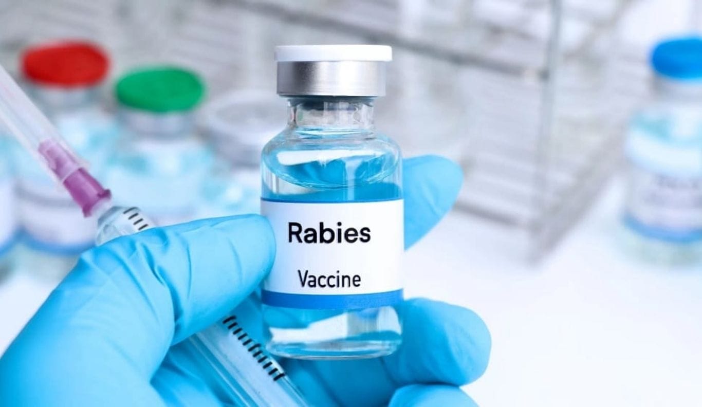 Pakistan Develops First Indigenous Anti-Rabies Vaccine