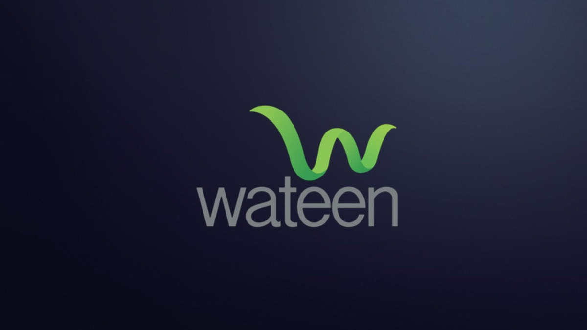 Wateen Telecom Must Pay Rs6.25 Billion to Retain LDI License