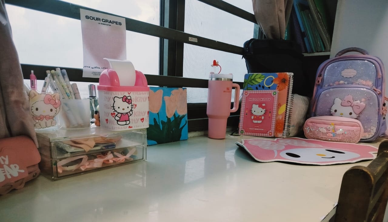 A Pakistani Schoolgirl Creates Hello Kitty Land with famous E-commerce ...