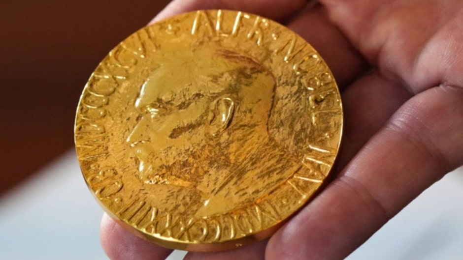 Immune System Research Earns 2025 Nobel Prize in Medicine