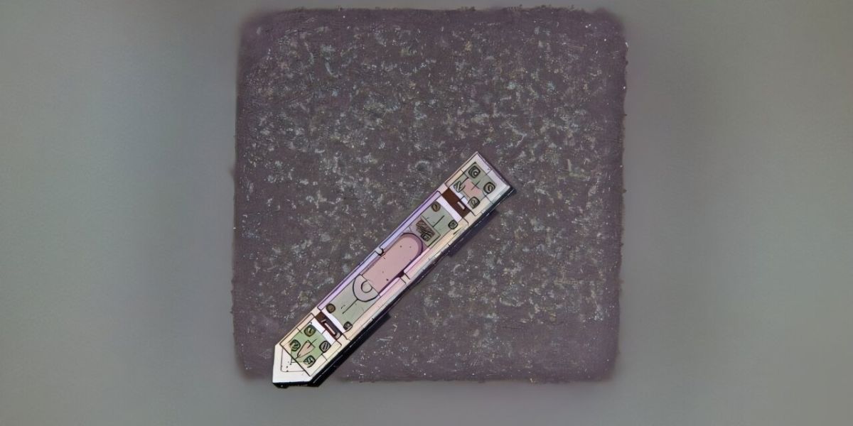 Scientists Make Laser Neural Implants That Monitor Brain Activity ...