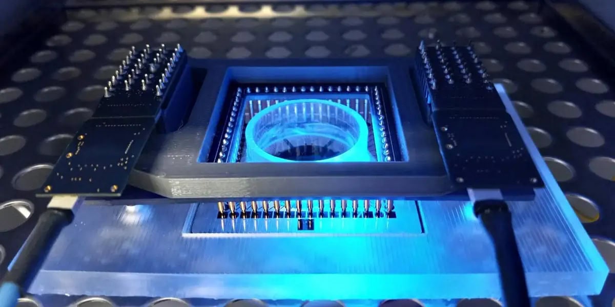 Scientists Say They Are Closer Than Ever to Making Biocomputers ...