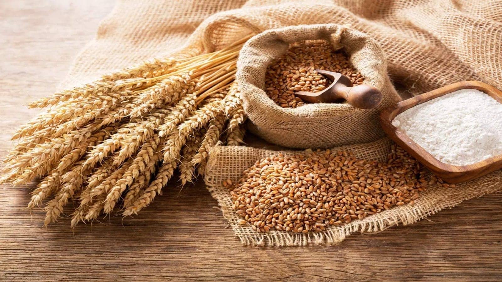 Wheat Shortage Pushes Prices Up Across Punjab and Islamabad
